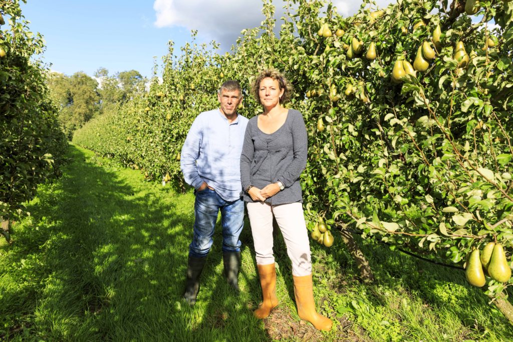 Haneman Biofruit - Maas en Waal Boert Bewust